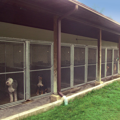 About Us - The Dahl House Boarding Kennels